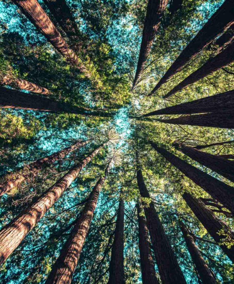 About – Sparo Corporation